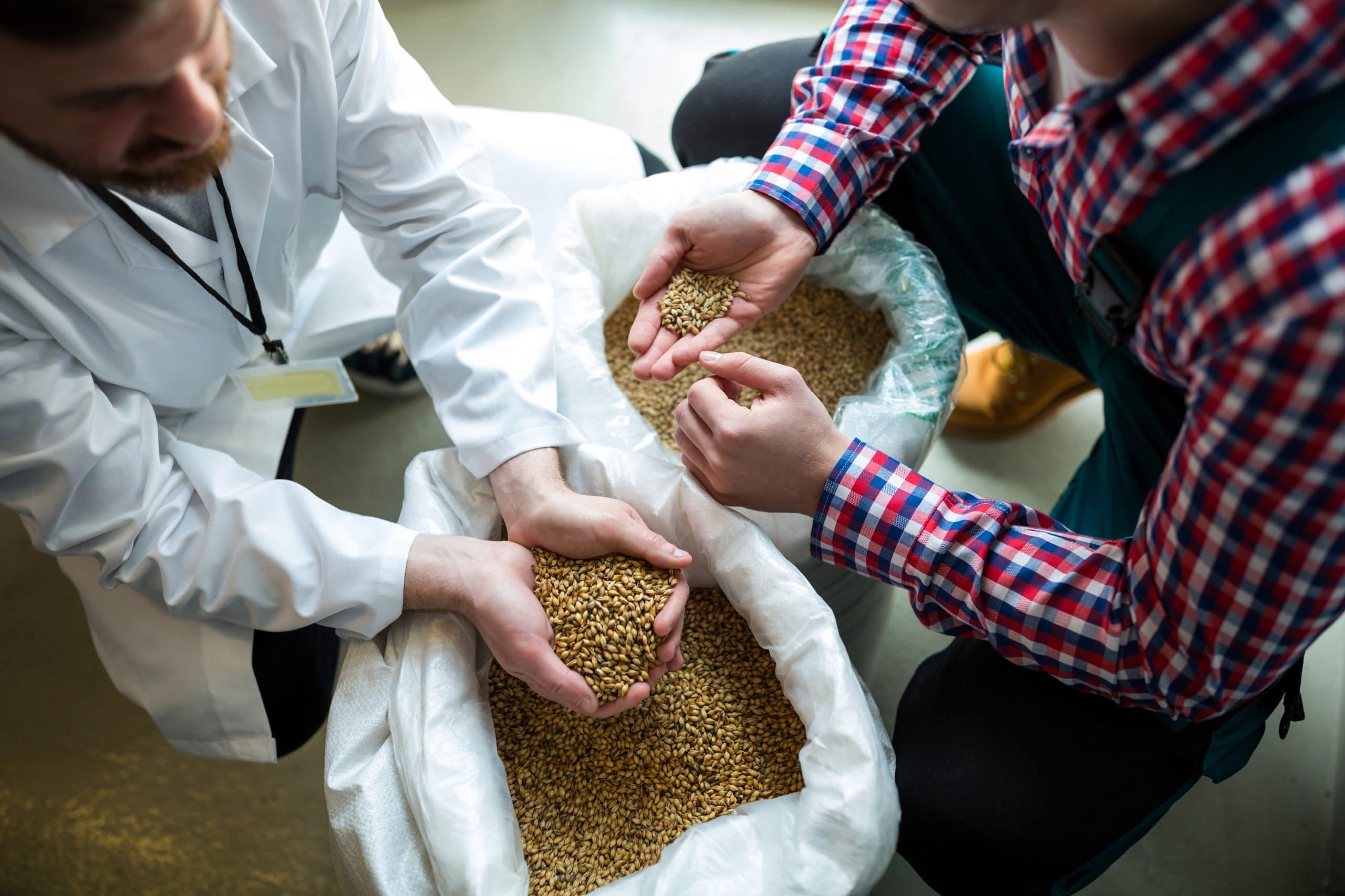 Managing masked mycotoxins risk | Mycotoxins solutions | ADM
