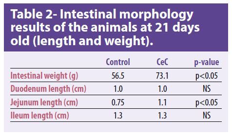 Better modulation of intestinal microbiota | Blog | ADM