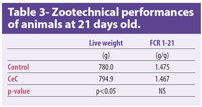 Poultry: Better modulation of intestinal microbiota | Blog | ADM