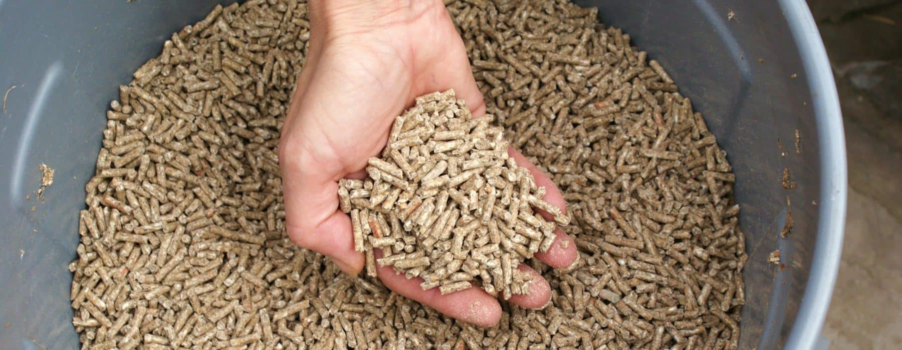 ADM I Soluciones | Alimentos especializados en lechones