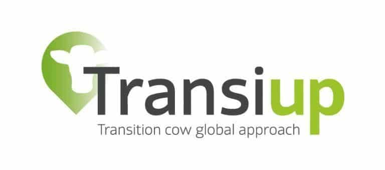 ADM Transi Up I Supera los desafíos del periodo peri-parto